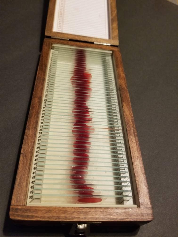 Dexter Blood Slide Box - Etsy
