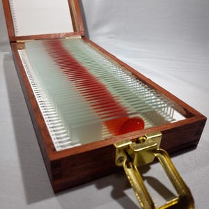 Blood Slide Box Dexter Morgan Resurrection. - Etsy