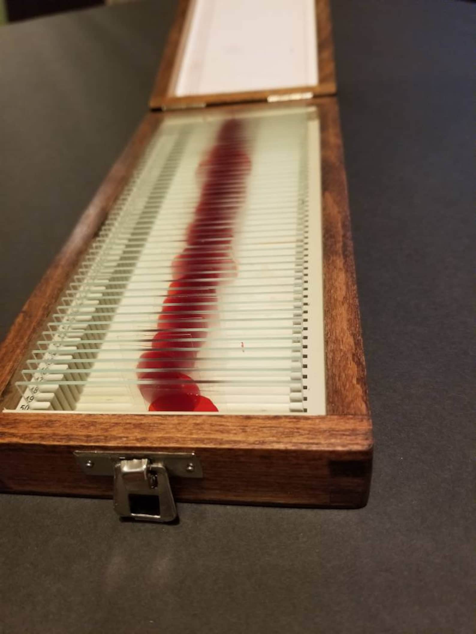 Dexter Blood Slide Box - Etsy