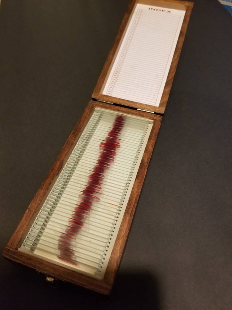 Dexter Blood Slide Box Mahogany - Etsy