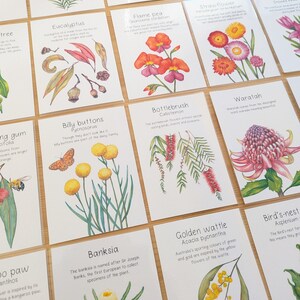 Australian Native Plants Flash Cards DIGITAL DOWNLOAD - Etsy Australia