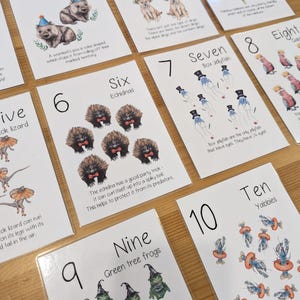 Australian Animal Number Flash Cards 1 - 10 DIGITAL DOWNLOAD - Etsy ...