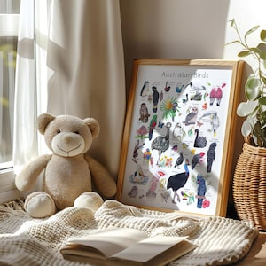 Australian Birds Poster, Native Wildlife, Hand-drawn, Kids Room ...