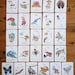 Australian Animal Alphabet Flash Cards DIGITAL DOWNLOAD - Etsy