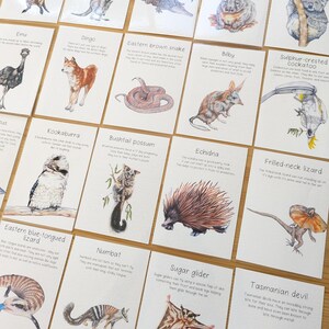 Australian Native Animal Flash Cards DIGITAL DOWNLOAD - Etsy