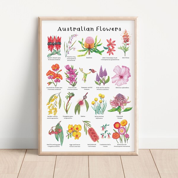 Botanical Art Prints - Etsy Australia