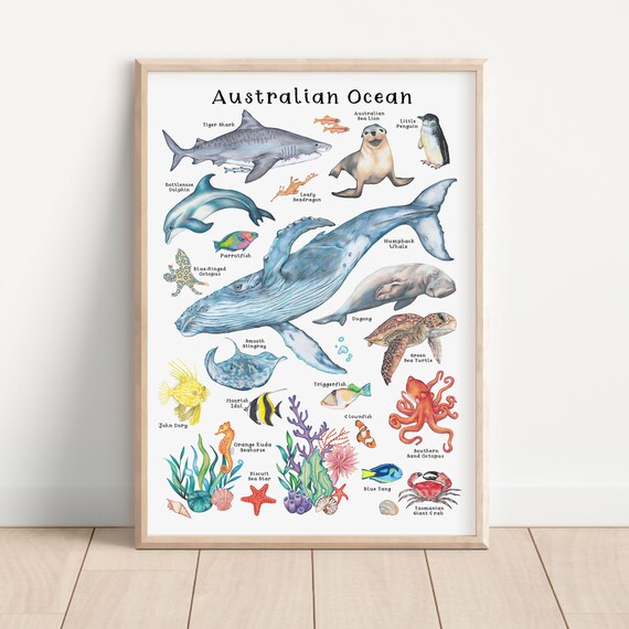 Ocean Plants For Kids