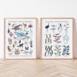 Australian Animal Alphabet Poster DIGITAL DOWNLOAD - Etsy