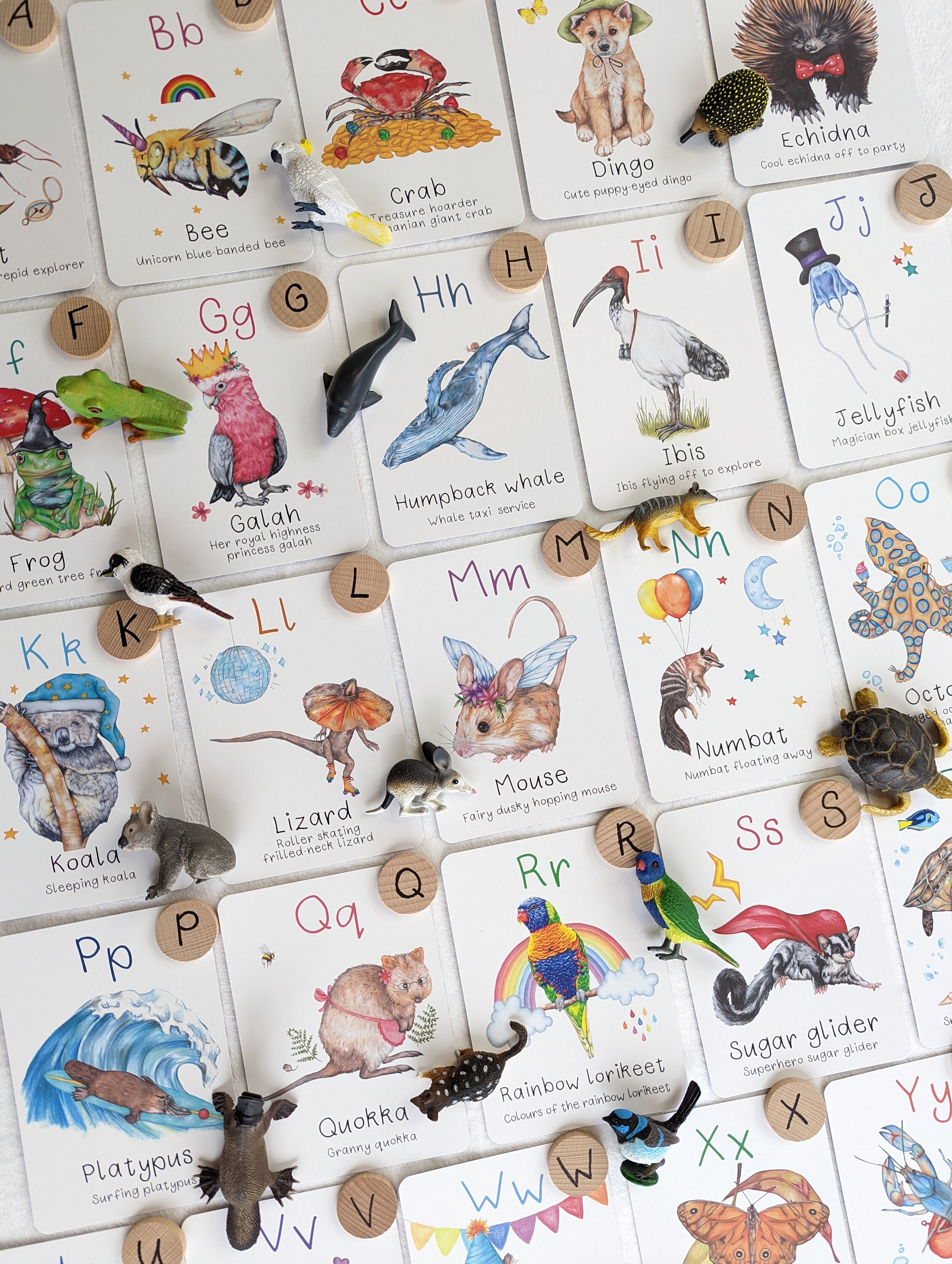 Australian Animal Alphabet Flash Cards Fun Facts About Each - Etsy ...