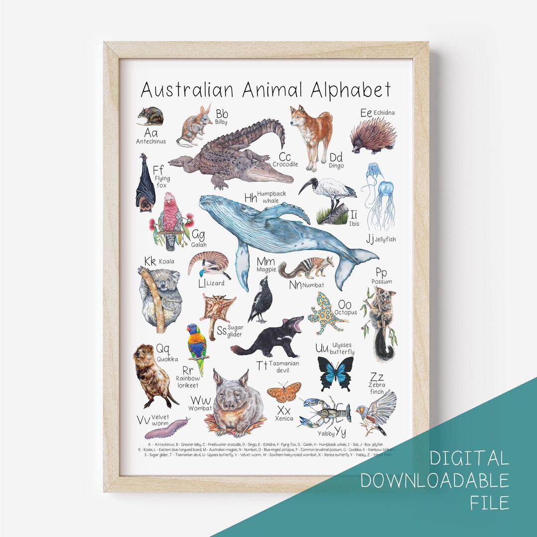 Australian Animal Alphabet Poster DIGITAL DOWNLOAD - Etsy