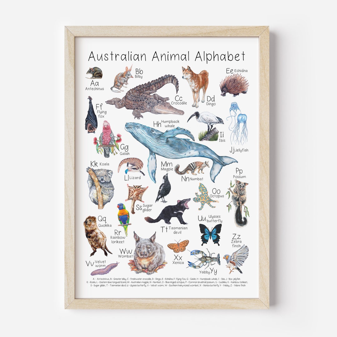 Australian Animal Alphabet Poster DIGITAL DOWNLOAD - Etsy