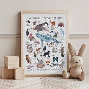 Australian Animal Alphabet Poster - A3 Size - Hand Drawn - Native ...