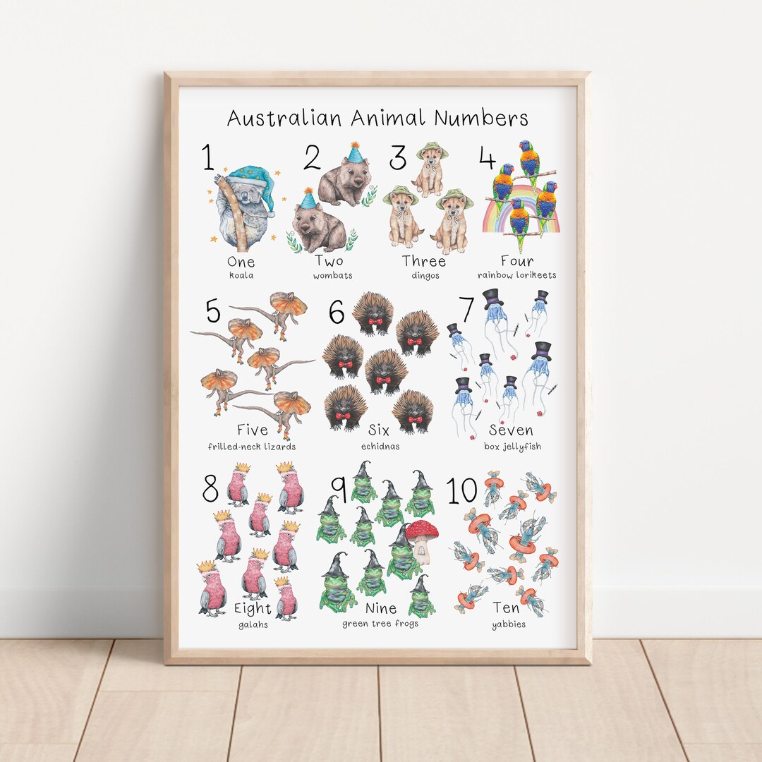 Australian Animal Numbers Poster A3 and A2 Hand Drawn Native Aussie ...