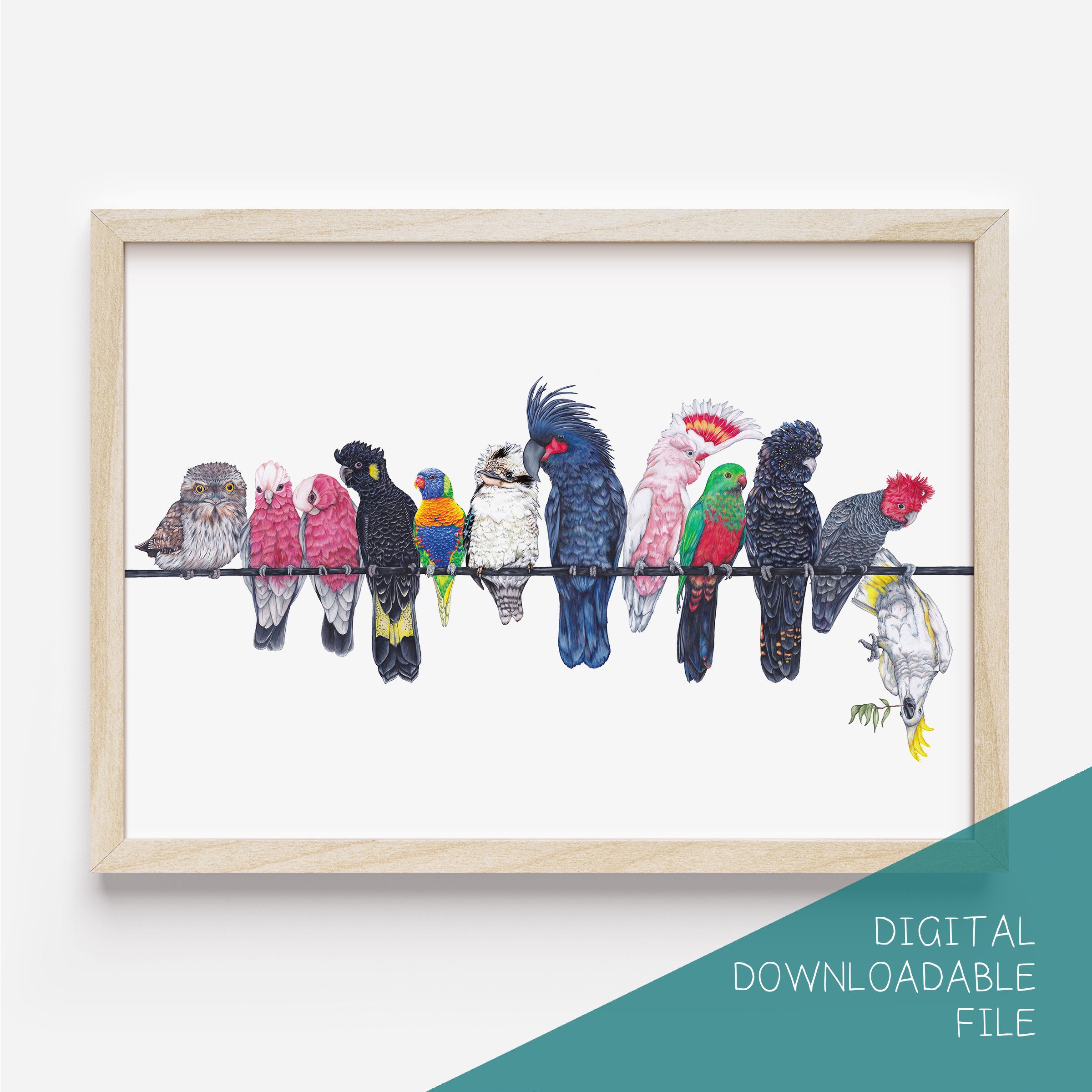 Australian Birds on a Line DIGITAL DOWNLOAD - Etsy Australia