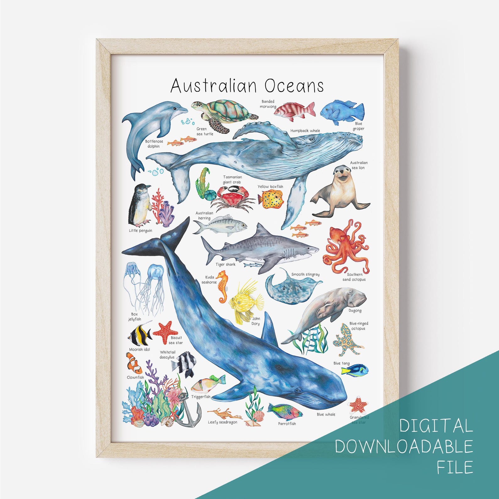 Australian Oceans Poster DIGITAL DOWNLOAD - Etsy