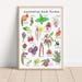 Australian Native Bush Tucker Poster DIGITAL DOWNLOAD - Etsy