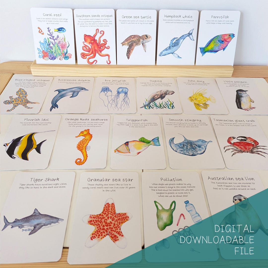 Australian Ocean Animal Flash Cards DIGITAL DOWNLOAD - Etsy
