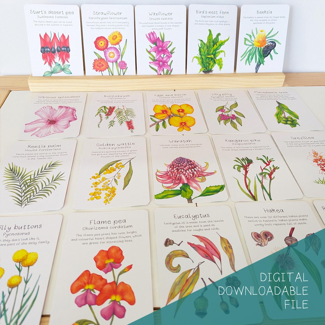 Australian Native Plants Flash Cards DIGITAL DOWNLOAD - Etsy Australia