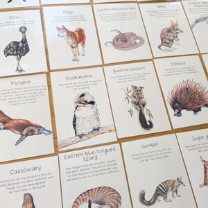 Australian Native Animal Flash Cards DIGITAL DOWNLOAD - Etsy