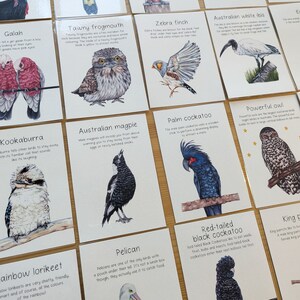 Australian Native Bird Flash Cards DIGITAL DOWNLOAD - Etsy Australia