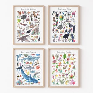 Australian Native Plants Poster DIGITAL DOWNLOAD - Etsy Canada