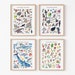 Australian Native Plants Poster DIGITAL DOWNLOAD - Etsy Canada