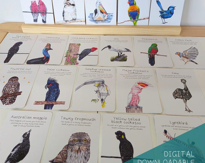 Australian Native Plants Poster DIGITAL DOWNLOAD - Etsy Canada
