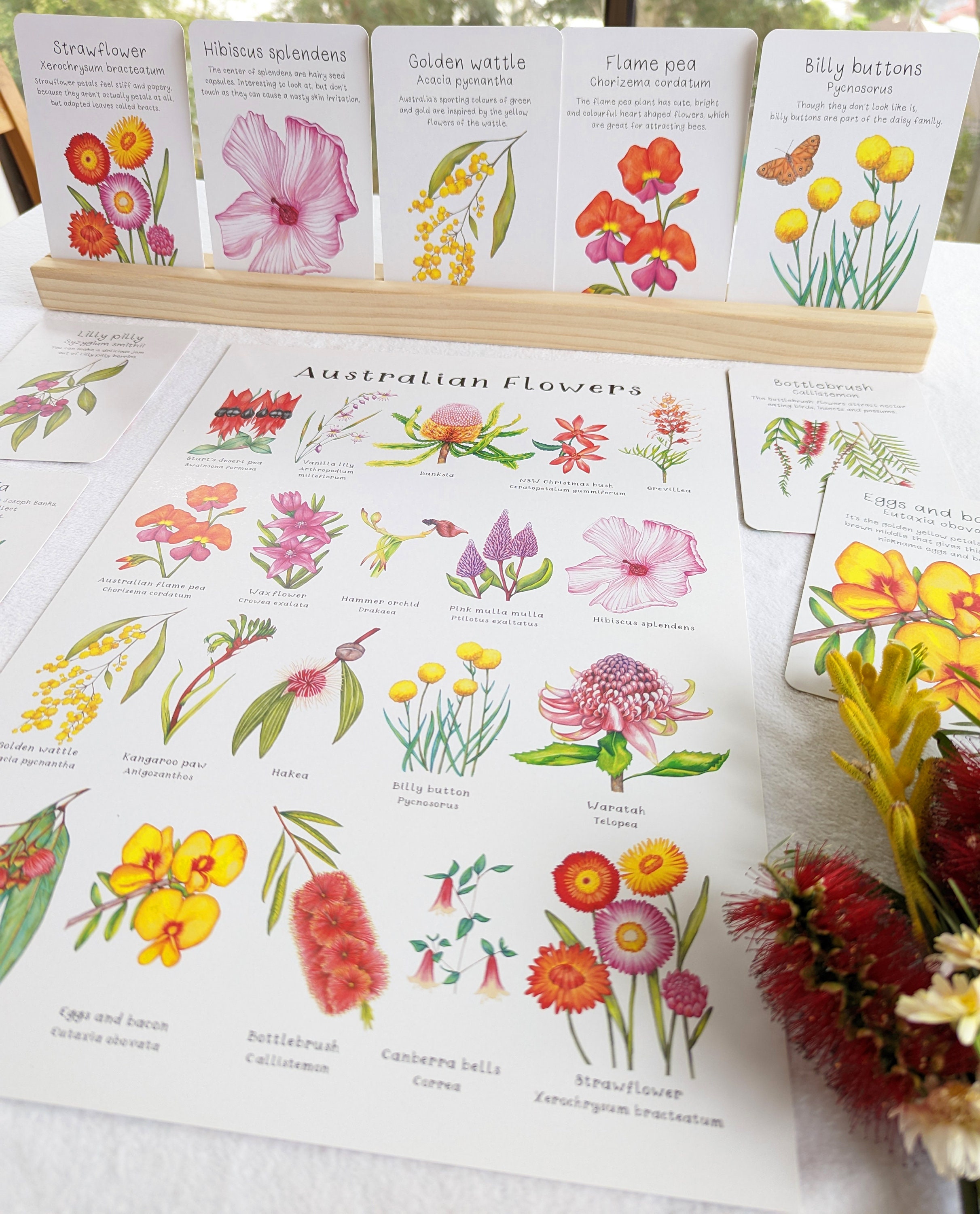 Australian Native Plant Flash Cards 20 in a Pack Fun Facts - Etsy Australia