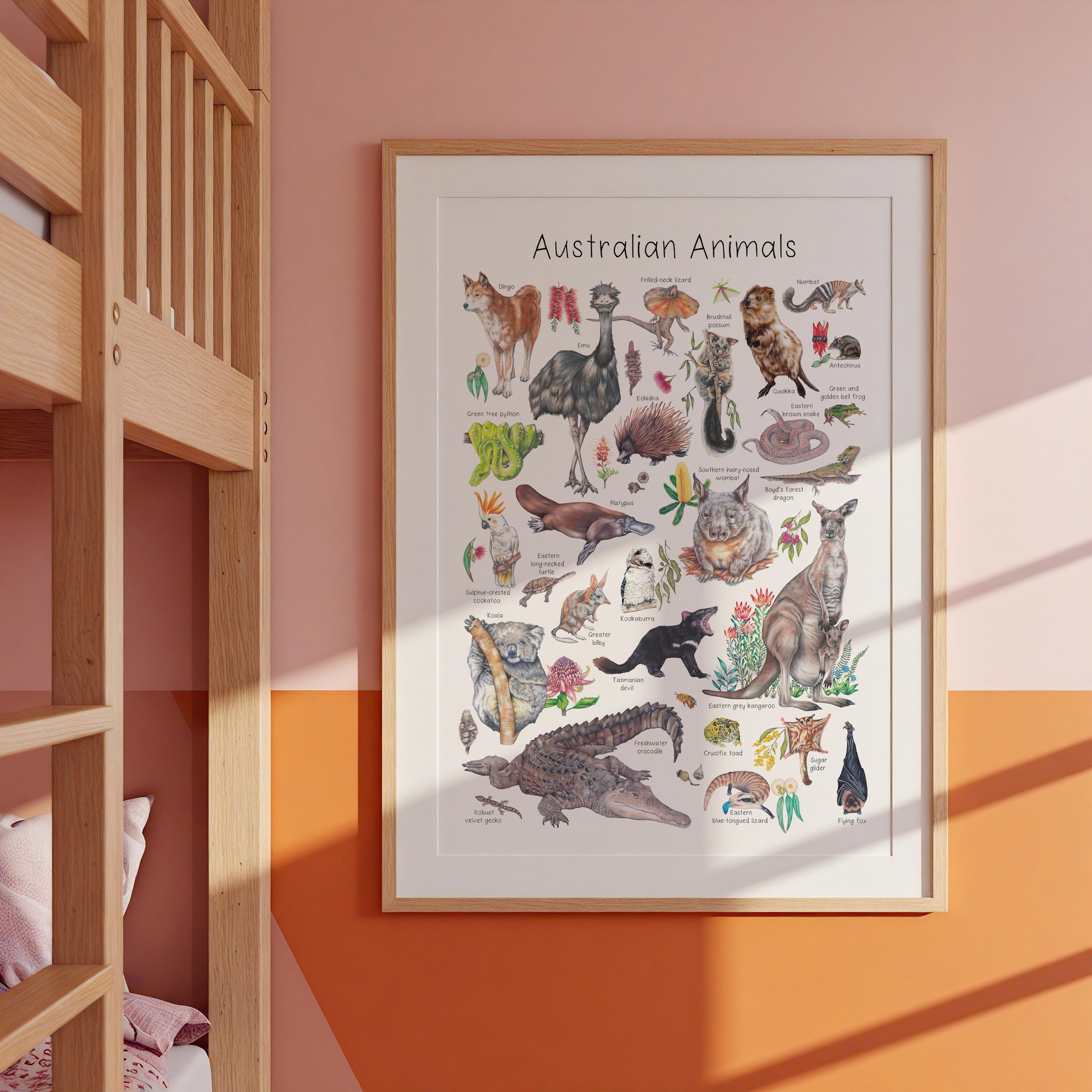 Australian Animal Poster DIGITAL DOWNLOAD - Etsy
