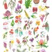 Australian Native Plants Poster DIGITAL DOWNLOAD - Etsy Canada