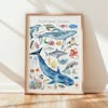 Australian Native Bugs and Insects Flash Cards DIGITAL DOWNLOAD - Etsy