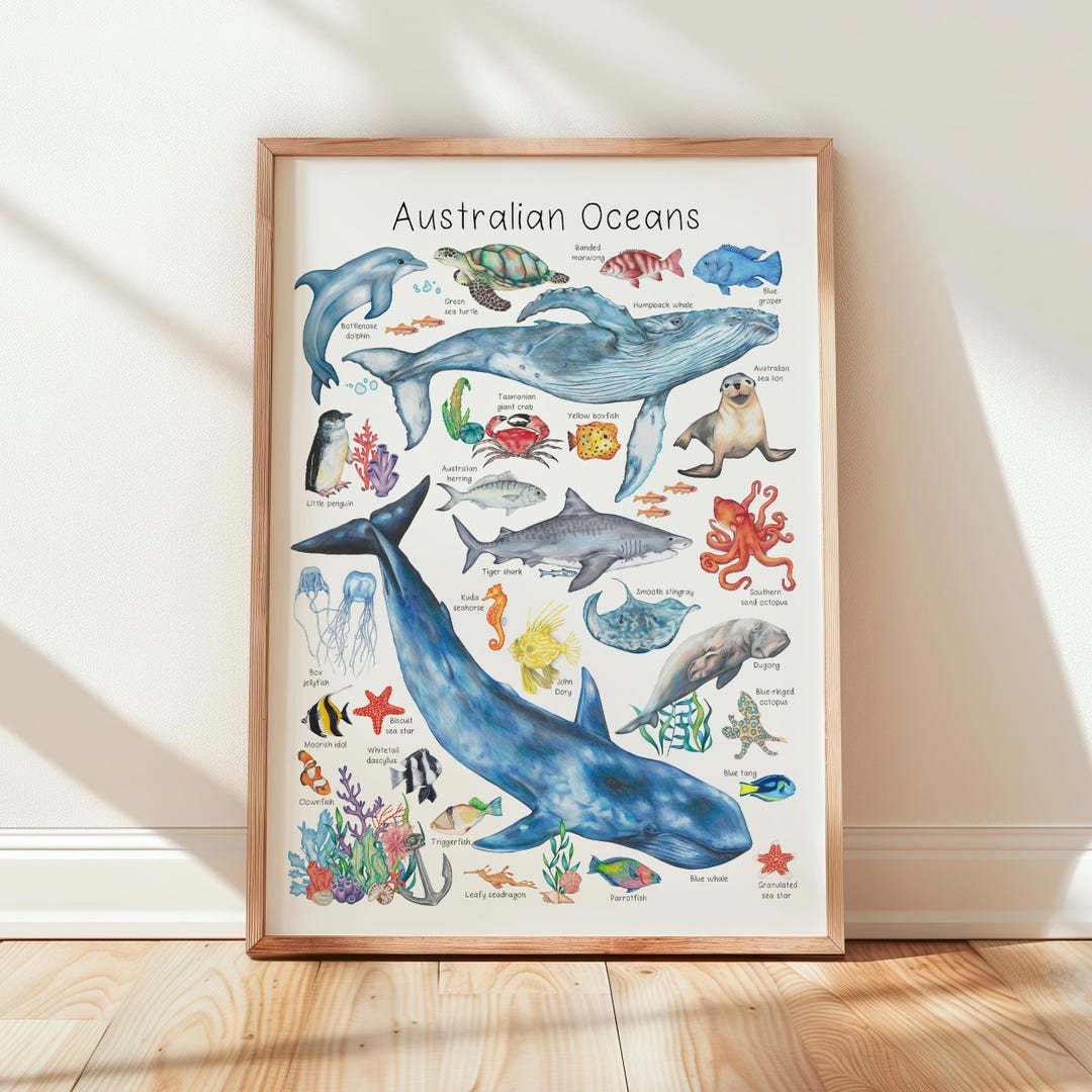 Australian Oceans Poster, Native Marine Life, Hand-drawn, Kids Room ...