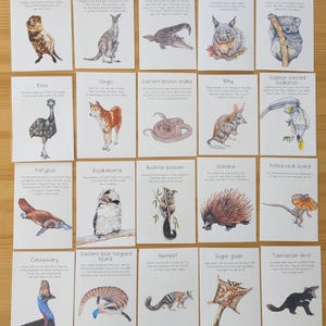 Australian Native Animal Flash Cards DIGITAL DOWNLOAD - Etsy