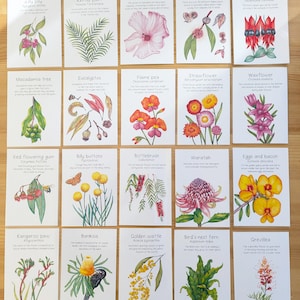 Australian Native Plants Flash Cards DIGITAL DOWNLOAD - Etsy Australia