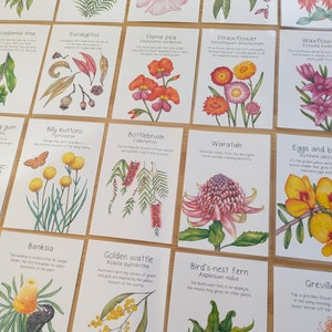 Australian Native Plants Flash Cards DIGITAL DOWNLOAD - Etsy Australia