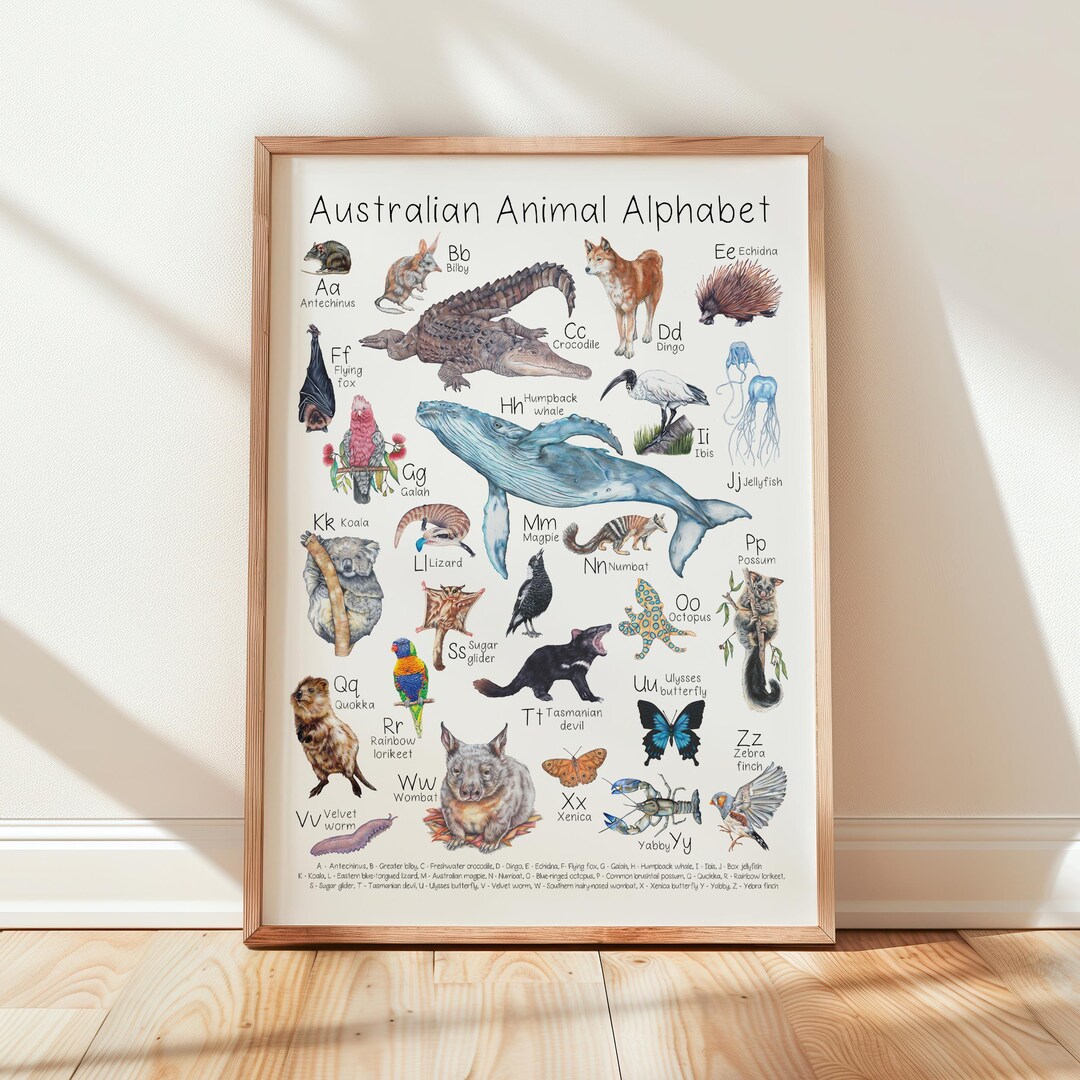 Australian Animal Alphabet Poster - A3 Size - Hand Drawn - Native ...