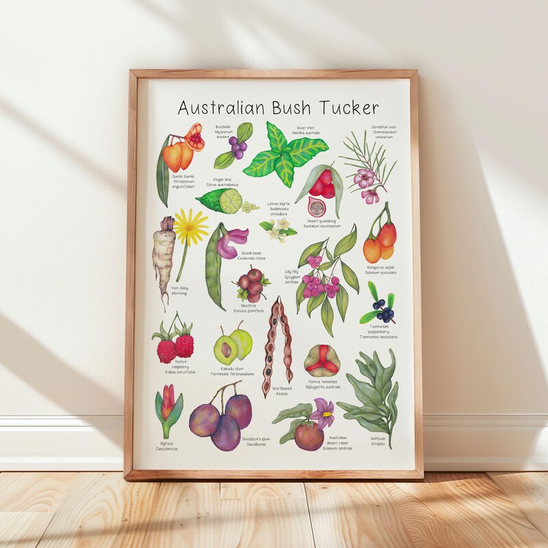 Australian Native Print - Etsy Australia