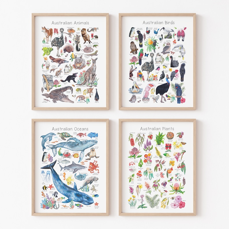 Australian Animal Poster DIGITAL DOWNLOAD - Etsy
