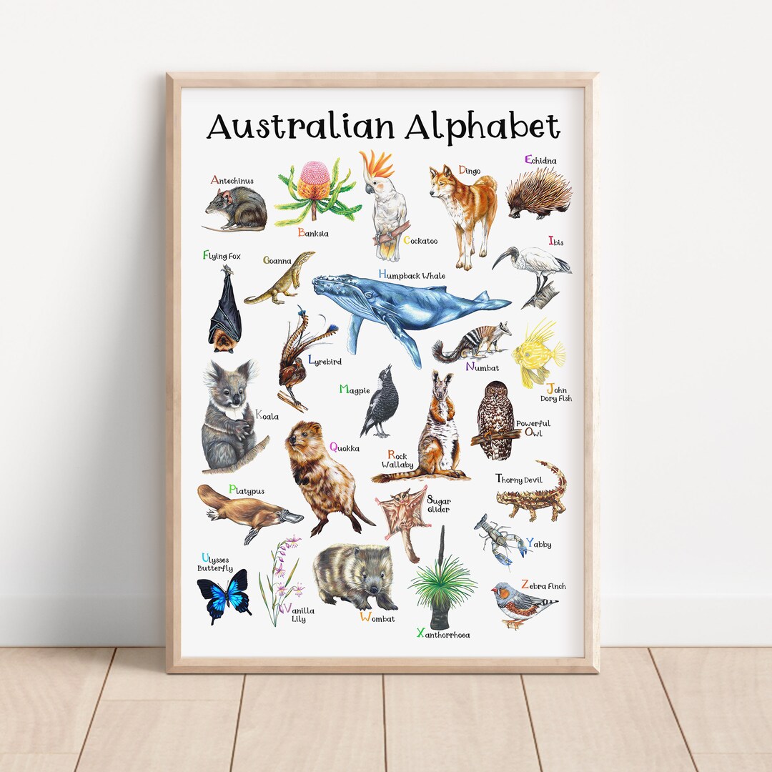 Australian Wildlife Alphabet Poster Hand Drawn Aussie Animals - Etsy
