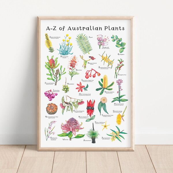 Australian Native Print - Etsy Australia
