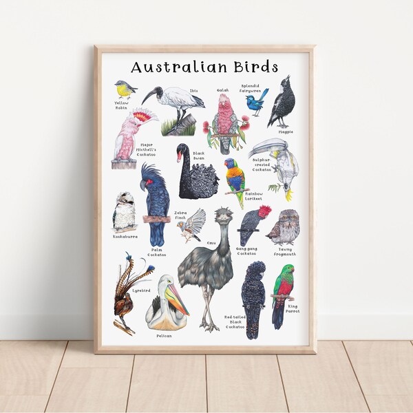 Bird Poster - Etsy Australia