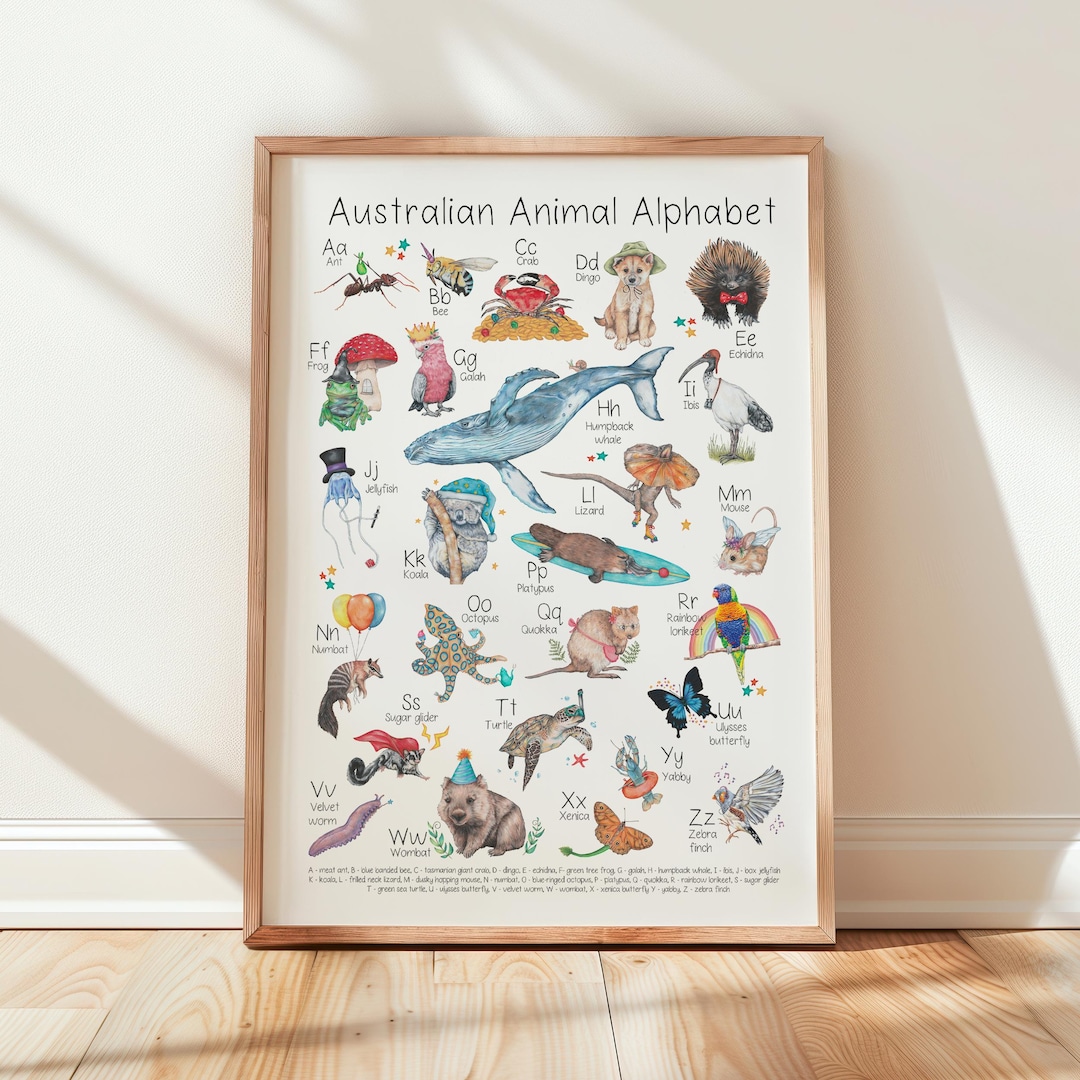 Australian Animal Alphabet Poster - A3 Size - Hand Drawn - Native ...