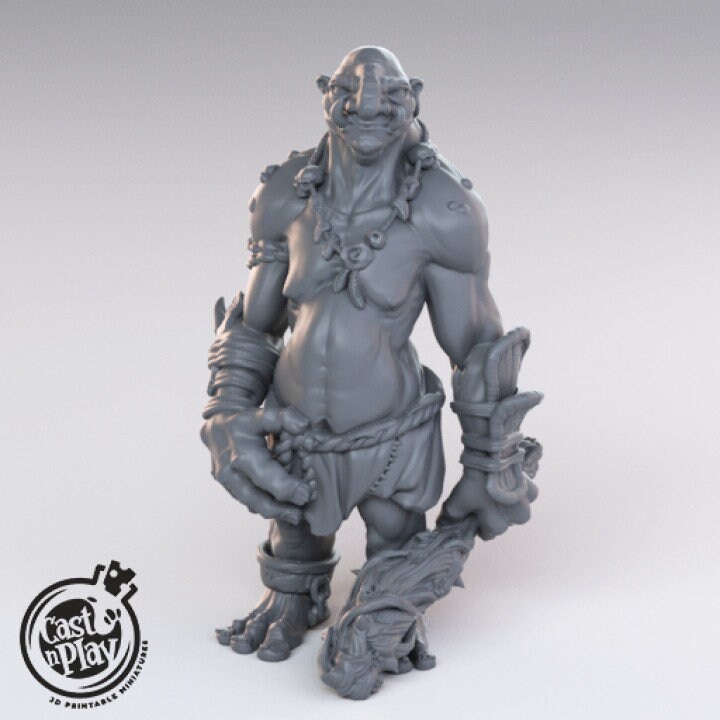 Dungeon Troll and Ogre Miniature Dnd Pathfinder Castnplay 28mm and 32mm ...