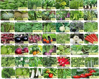 Indian Vegetable Seeds - Etsy