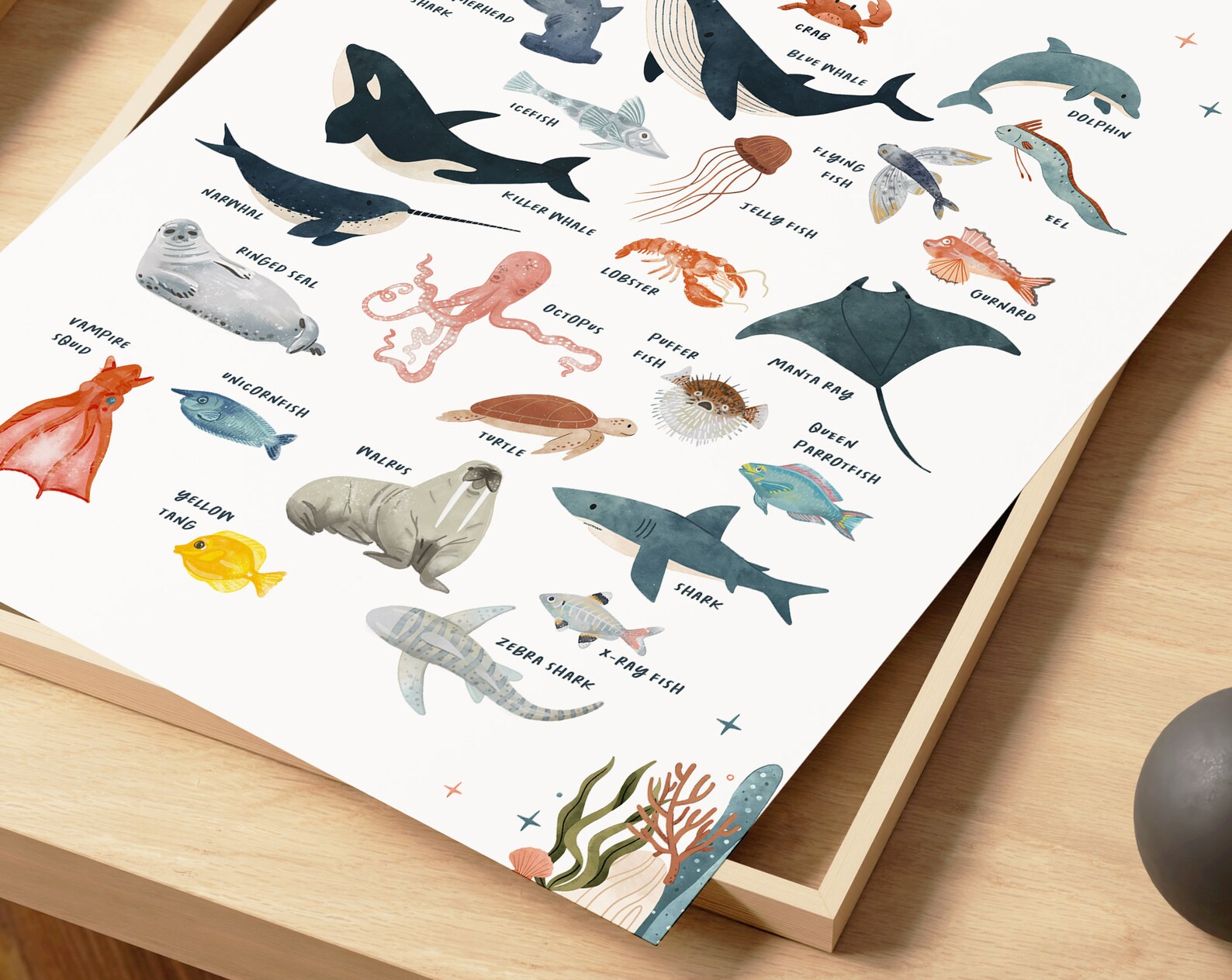 Editable Personalized Name, Sea Animal Alphabet Poster and Counting ...