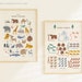 Animal Alphabet and Numbers Poster Digital Download, Abc Chart and ...
