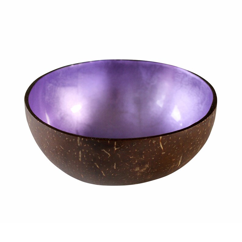 Coconut Bowl Jake & Maddie Bright Purple Lacquer Paint - Etsy UK