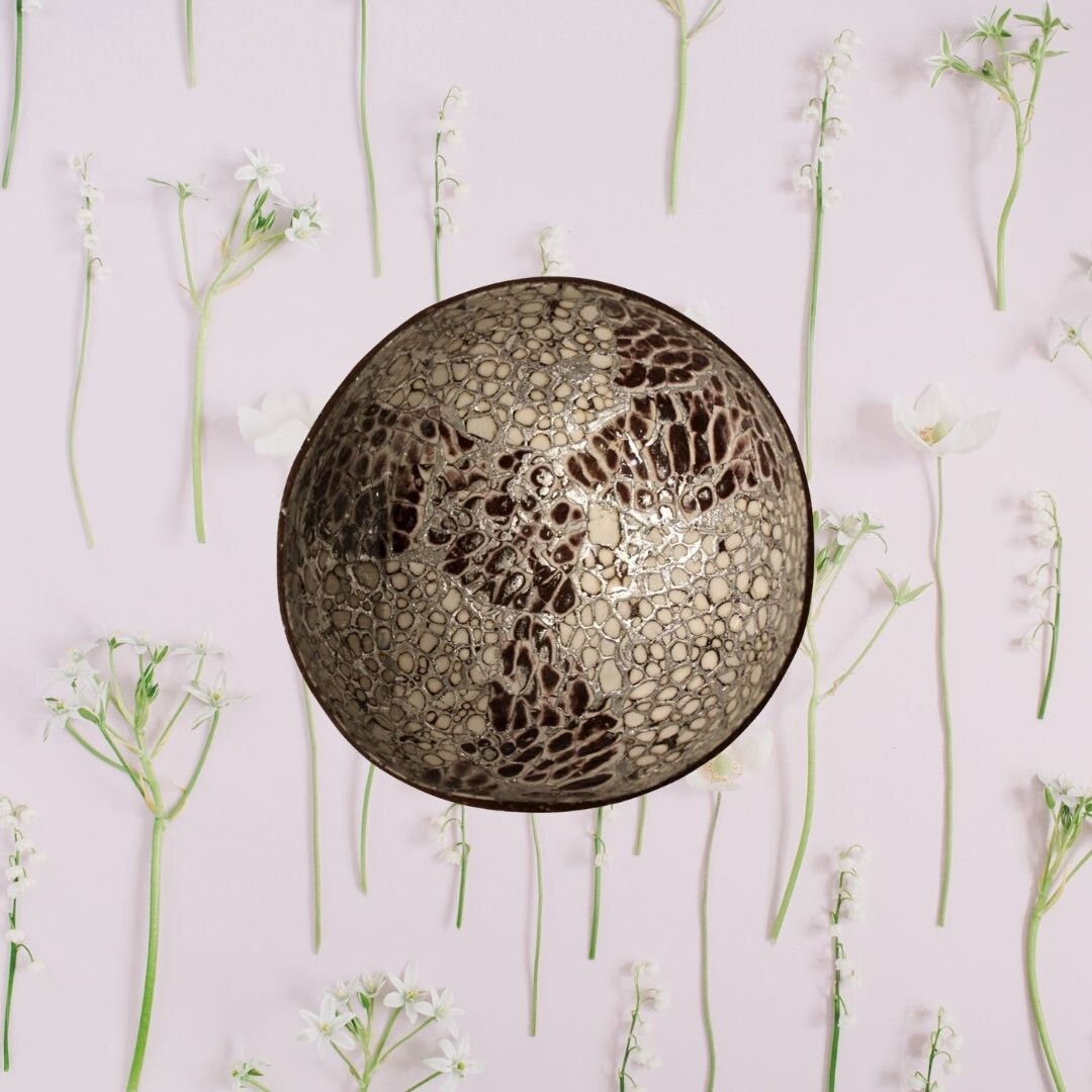 Coconut Bowl Jake & Maddie Sliver Brown Eggshell Pattern Paint Metallic ...