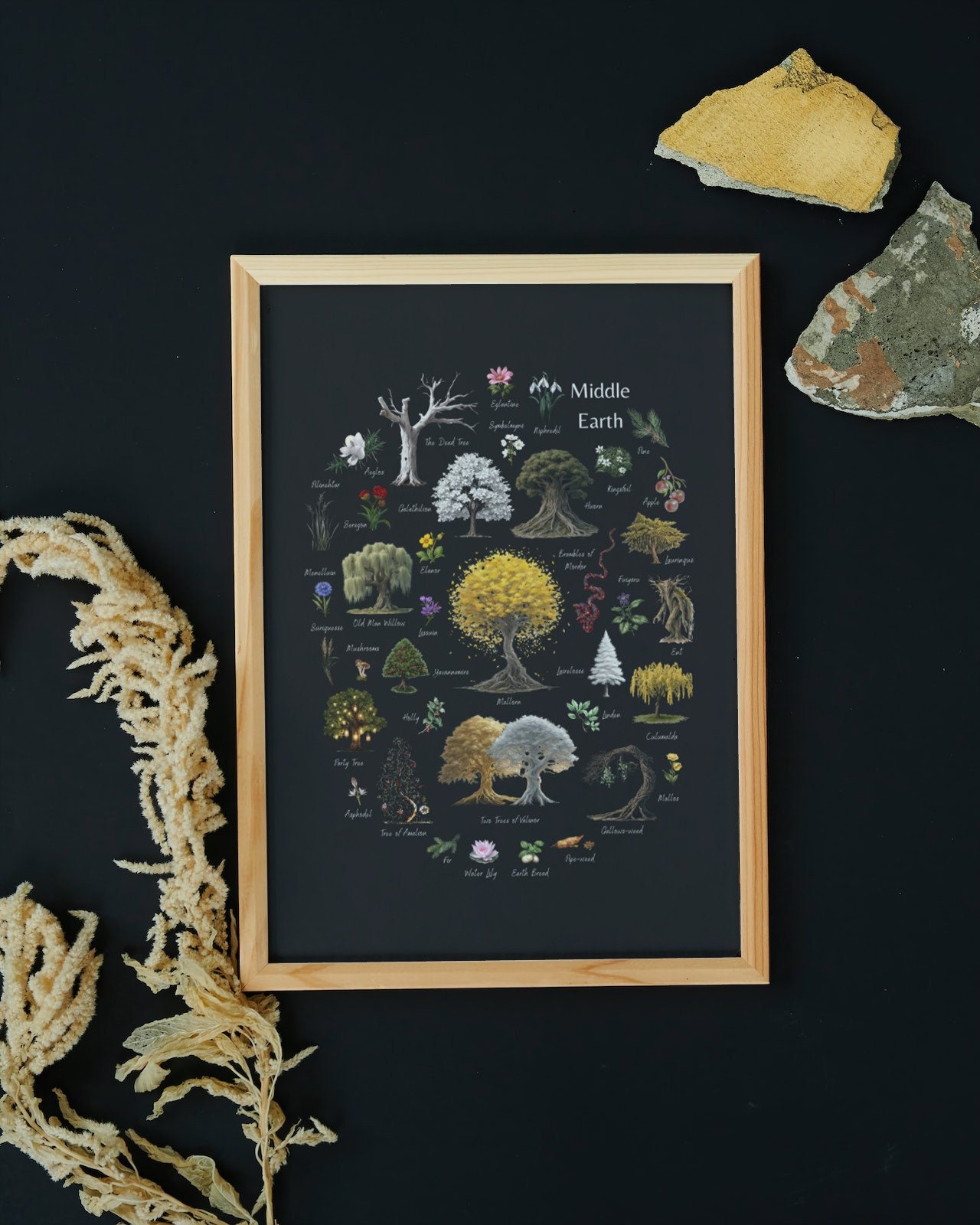 Middle Earth Herbal - Tolkien Inspired - Botanical Plants of the Lord ...