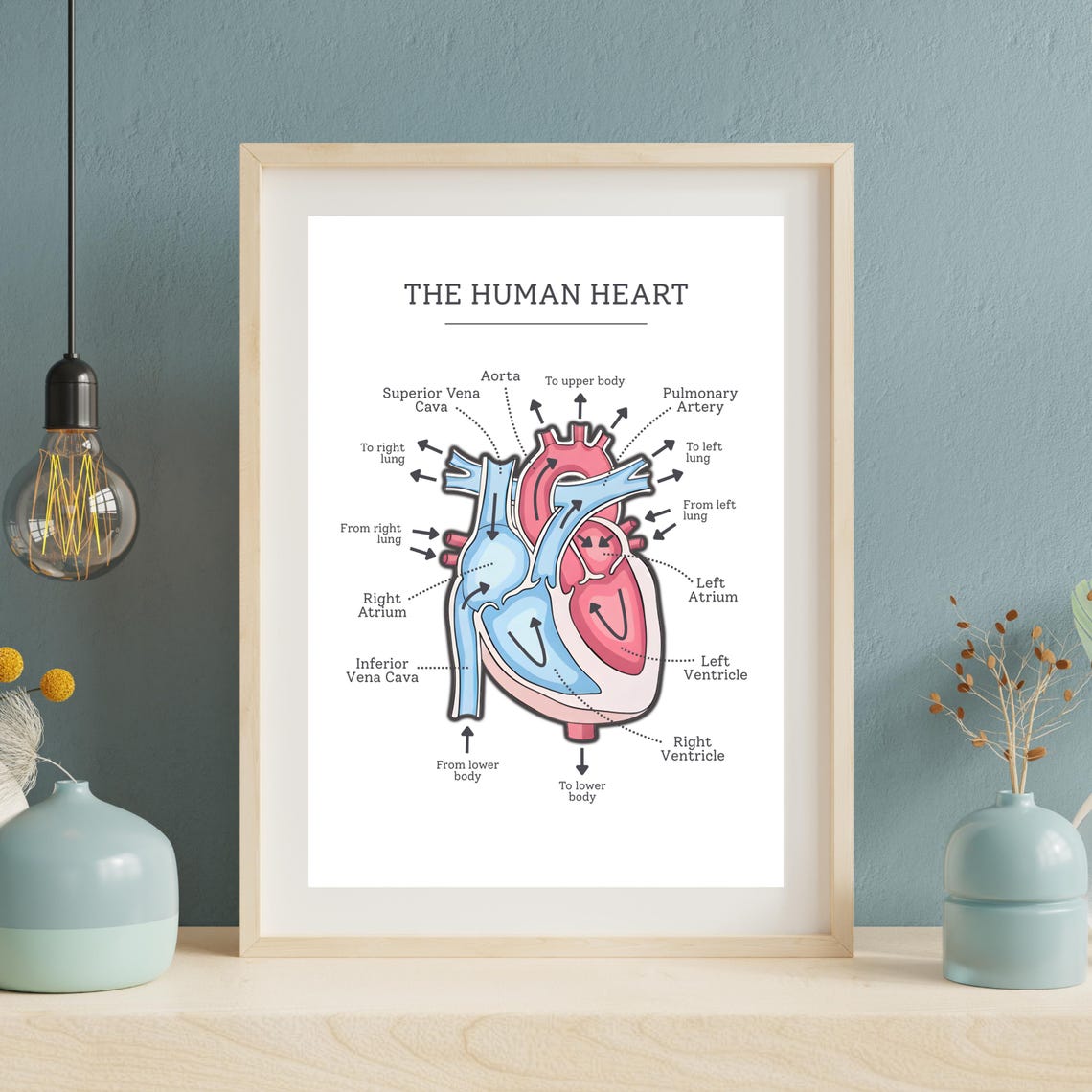 Heart Anatomy Print | Cardiac Diagram Art | Cardiologist & Student Gift ...